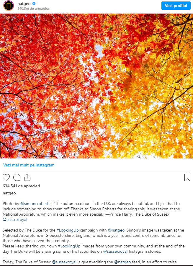 Social Media Identifier - BrandMentions Wiki